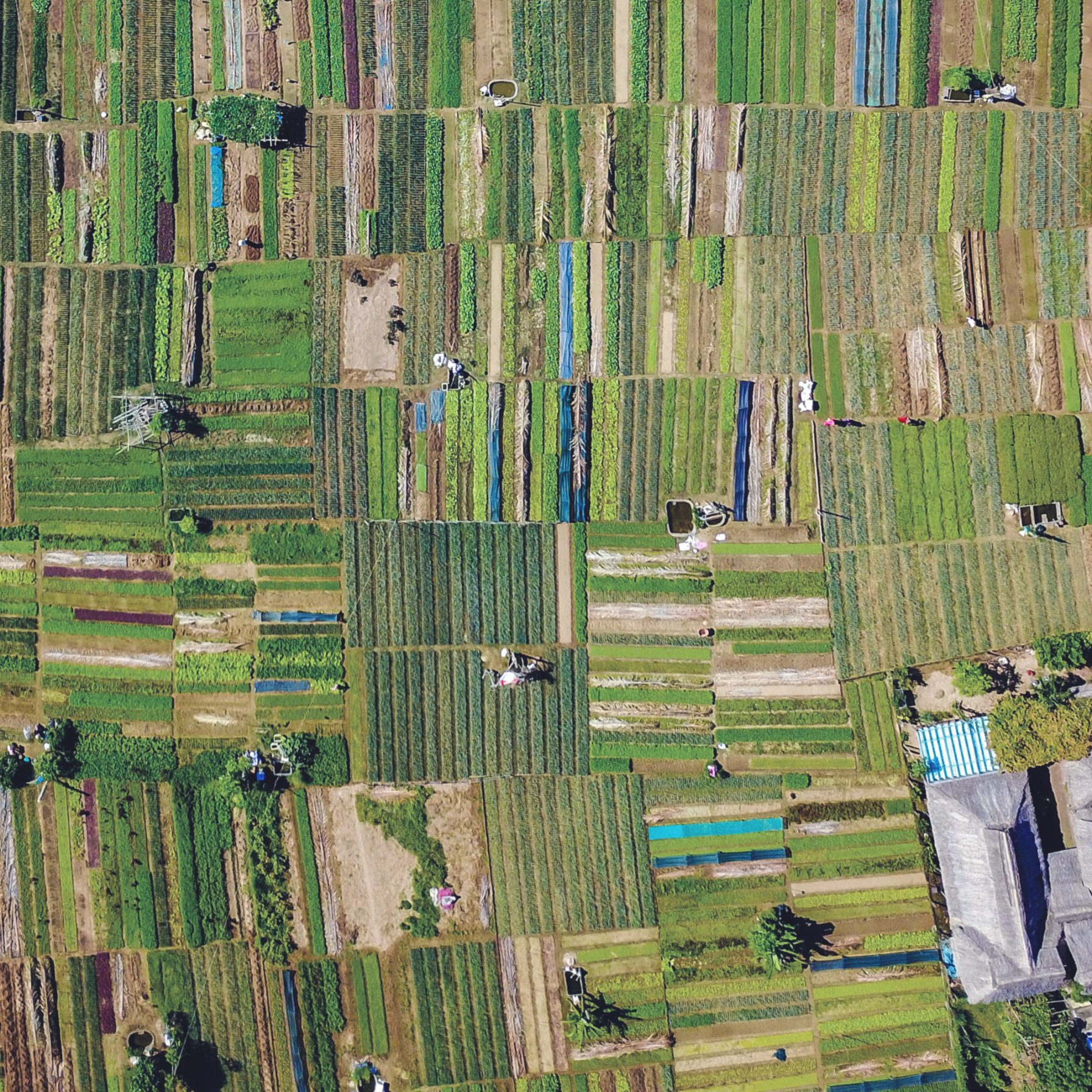 Contested Terrain - Future Observatory Journal