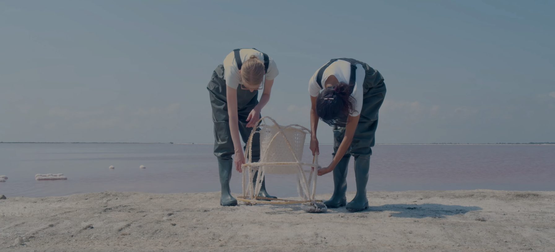 Bioregioning - Future Observatory Journal