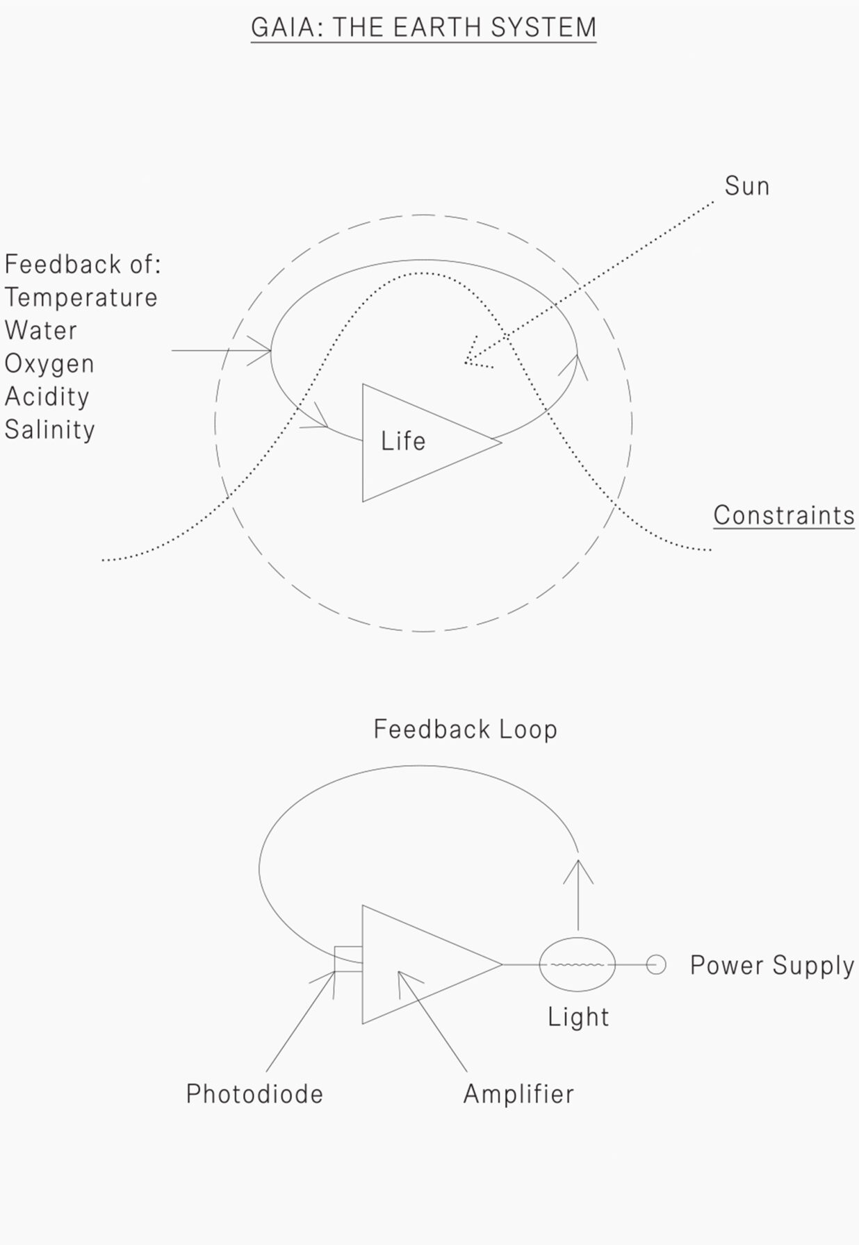 On Being Inside Gaia - Future Observatory Journal