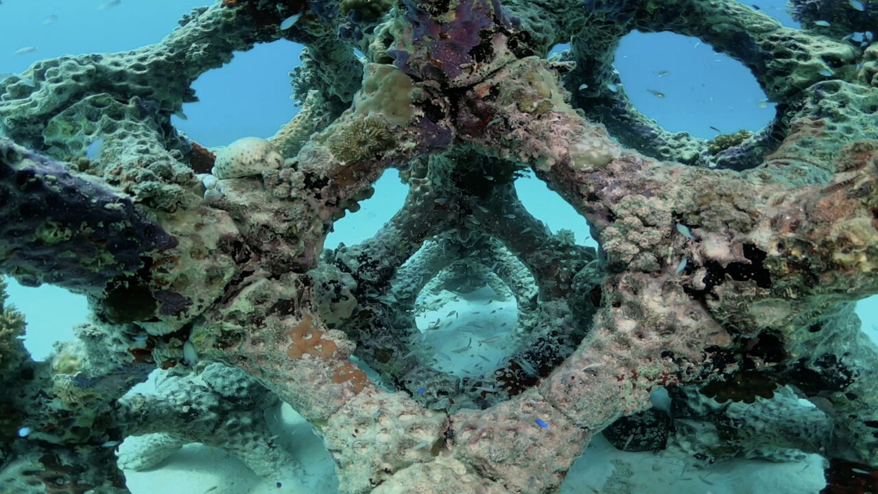 Cities of the Sea - Future Observatory Journal