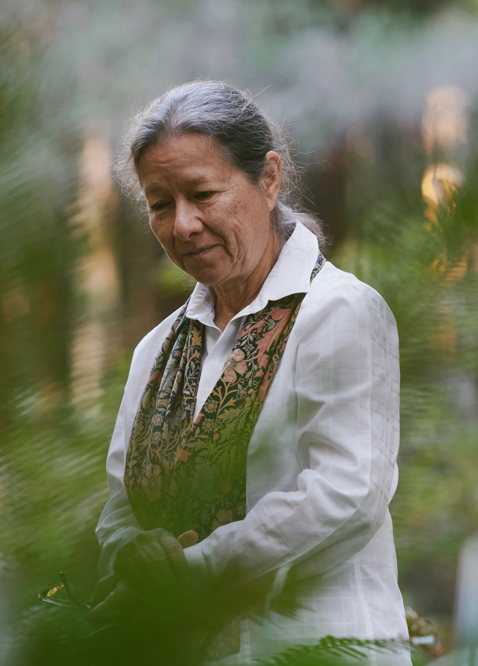 More than Human - Future Observatory Journal