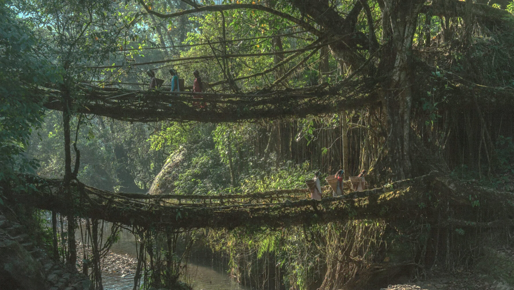 On Being Inside Gaia - Future Observatory Journal